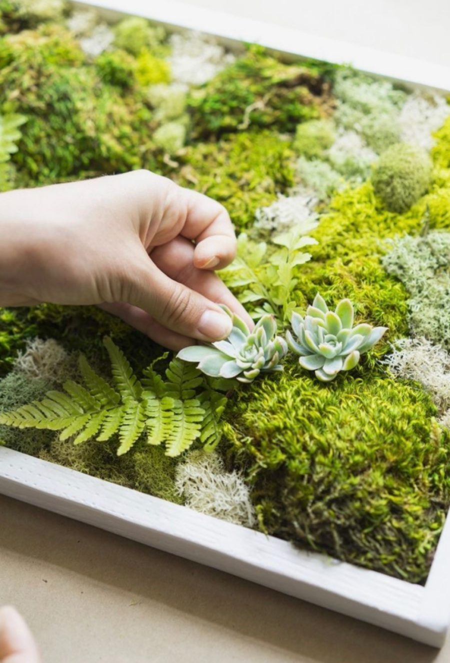 Z lesa rovno na stenu: DIY machový obraz vyčarujete za pár minút ...